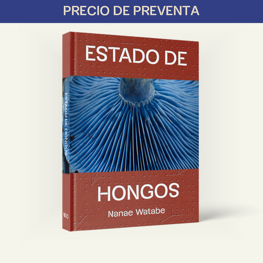 Libros – NOVO EDITORIAL
